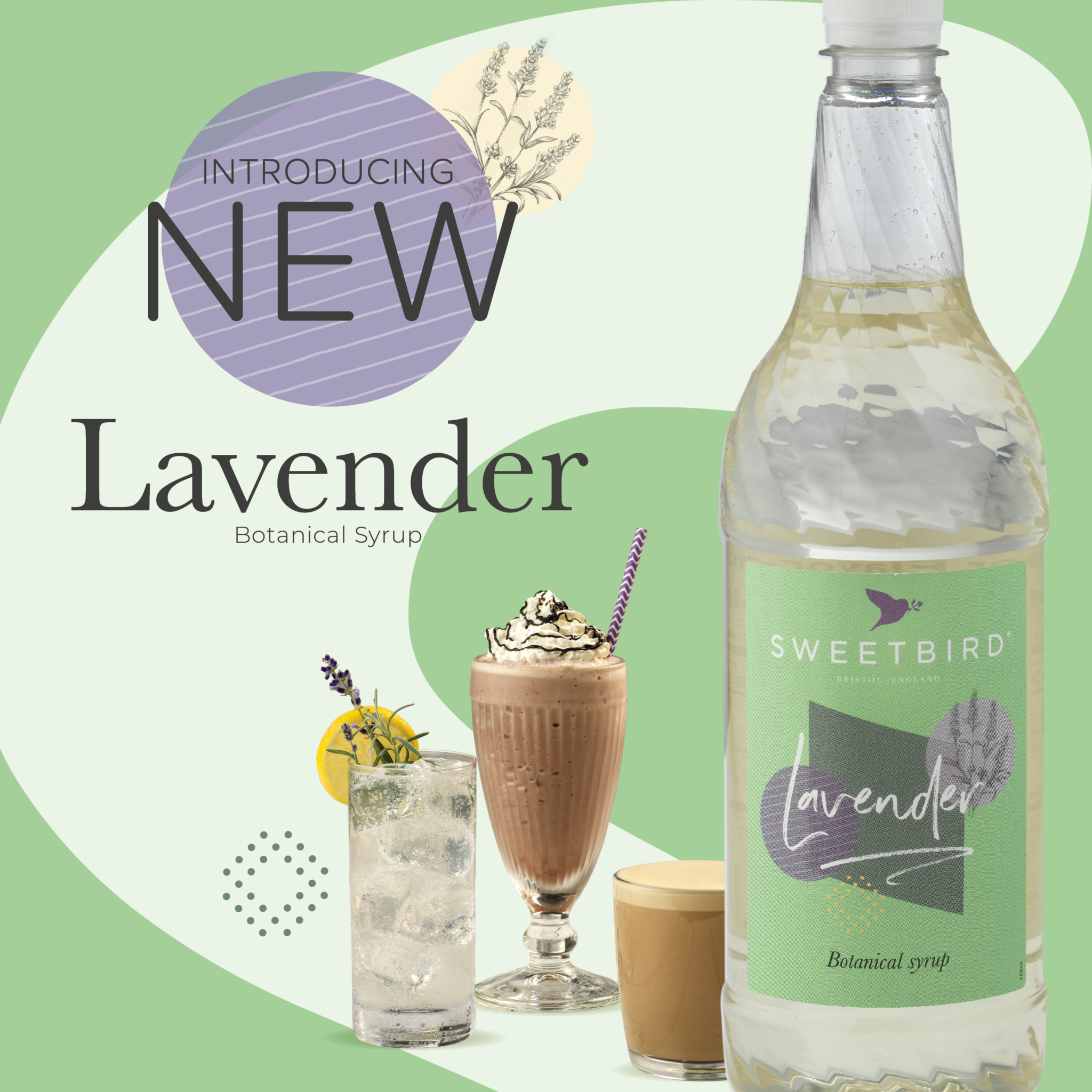 Introducing Sweetbird Lavender Syrup - Sweetbird