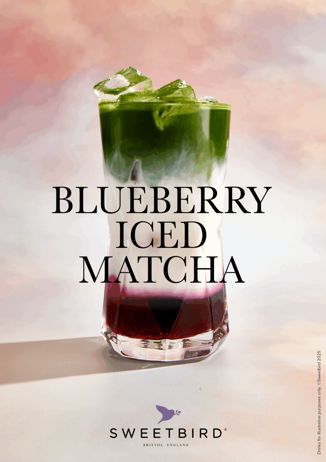 SB Blueberry Syrup Posters - Sweetbird